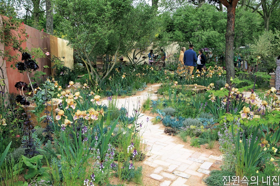 기후 변화에 대응해 지속 가능한 정원을 꿈꾸는 2023 첼시 플라워 쇼 : 네이버 블로그