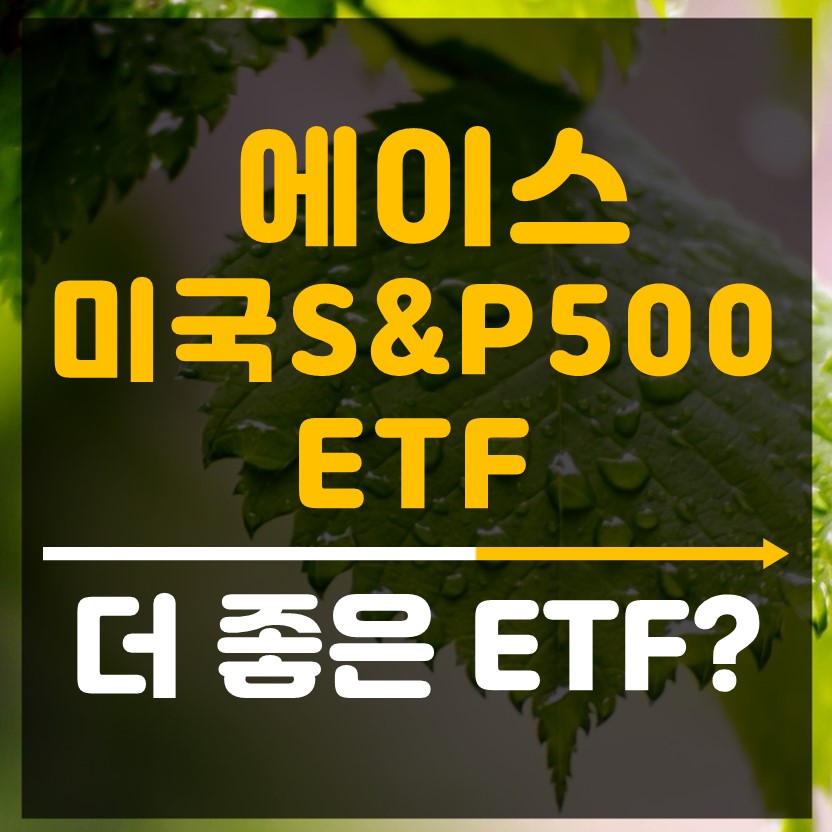 에이스(ACE) 미국 S&P500 ETF 2종 비교 (ft. 주가 수익률과 배당금 & 수수료) : 네이버 블로그