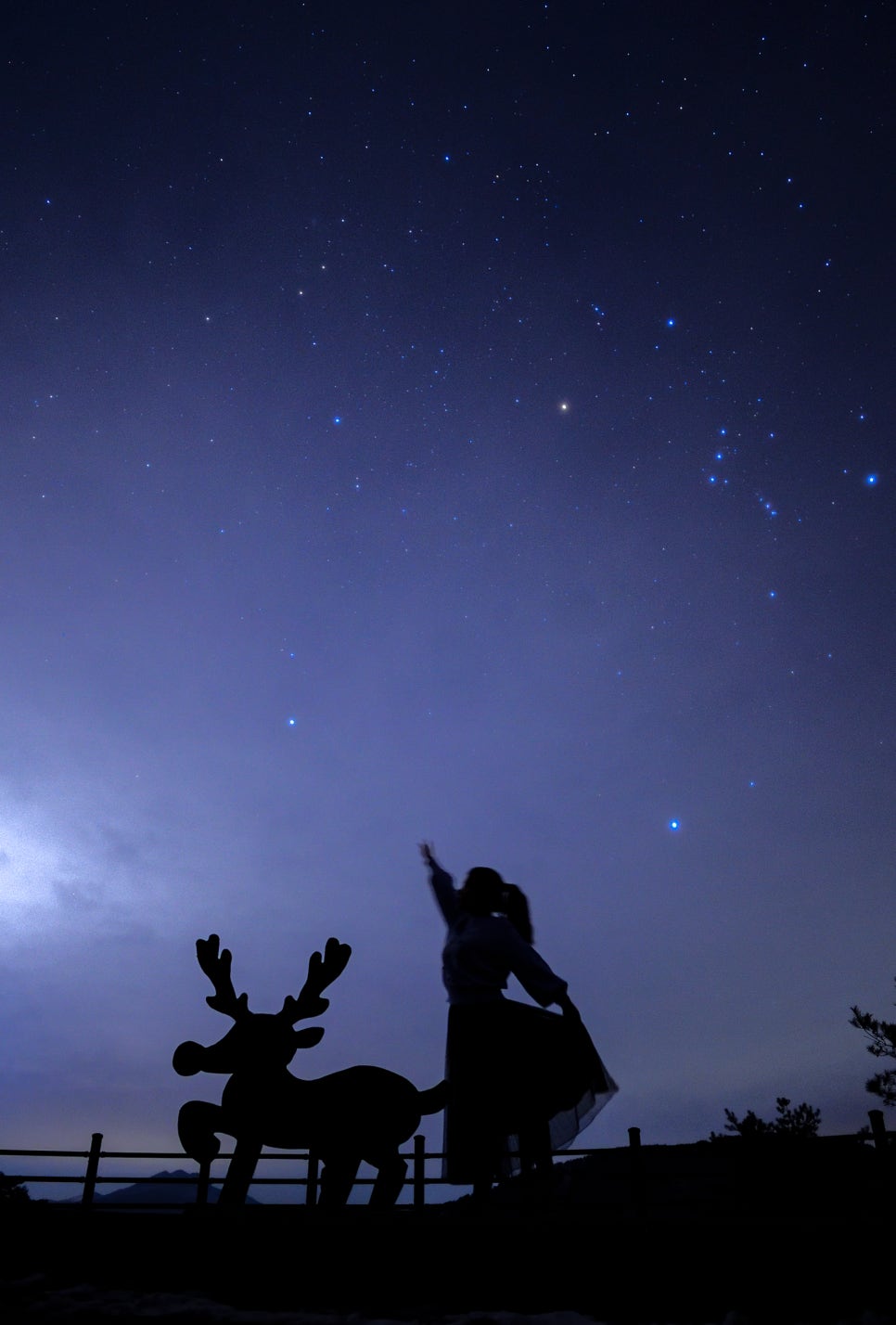 [강원도 영월 가볼만한 곳] 게스트하우스영월 별자리투어 : 네이버 블로그