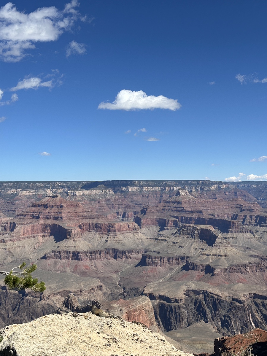 [미국 서부] 그랜드캐년 국립공원 (마스윅 롯지) 숙박 후기! Grand Canyon Maswik Lodge : 네이버 블로그