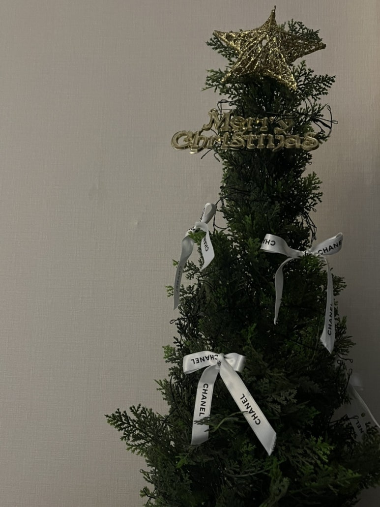 2024년 마지막 달 12월의 날들 🎄🎅 : 네이버 블로그