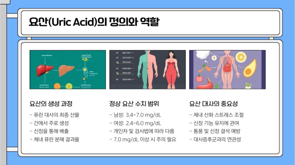uric acid 수치, 높을 때와 낮을 때 임상적 의의 : 네이버 블로그