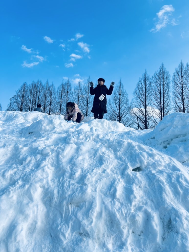 (담양 메타 오량쥬 마을) 눈썰매장 다녀오다 : 네이버 블로그