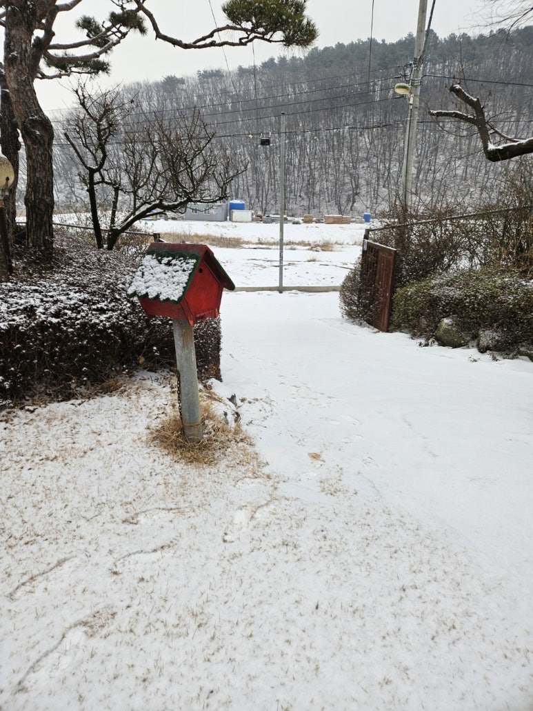 인천검단신도시 마전동 방문요양센터 의사소견서 병원동행 치매예방 요양보호사 장기요양등급 신청 및 이용절차를 자세히