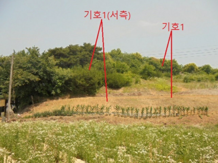 충청북도 제천시 모산동 384-15 토지(과수원)충북 제천시 모산동 제천 토지(과수원)경매 물건 2024타경718 : 네이버 블로그