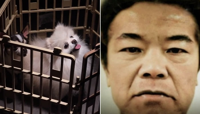 "강아지 벽에 집어 던지고 몽둥이로 눈 찔러 죽여"…출소 앞둔 조두순의 끔찍한 동물 학대 : 네이버 블로그