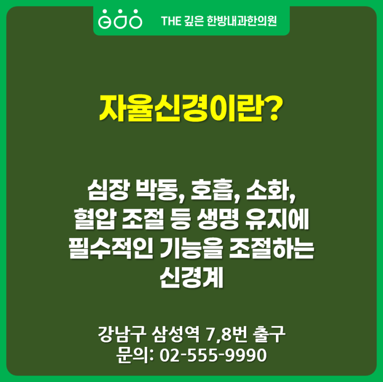 자율신경의 정의 구성 역할 해부학적 위치 네이버 블로그
