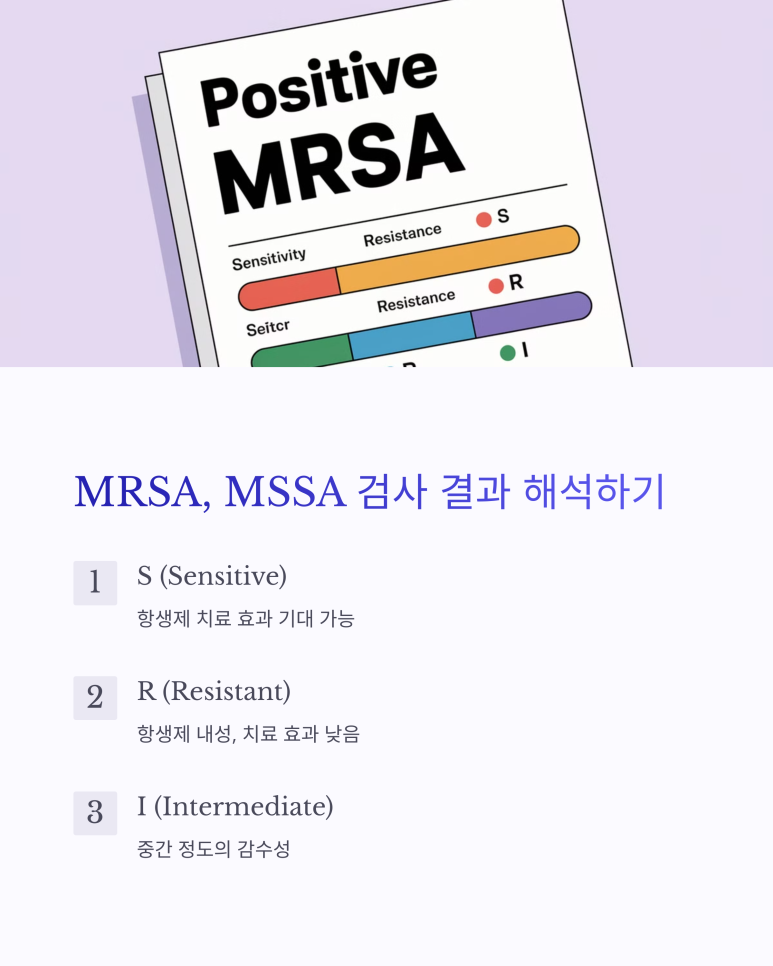 MRSA MSSA 차이 완벽 정리 : 증상부터 격리, 치료, 결과 해석, 주의사항까지! : 네이버 블로그