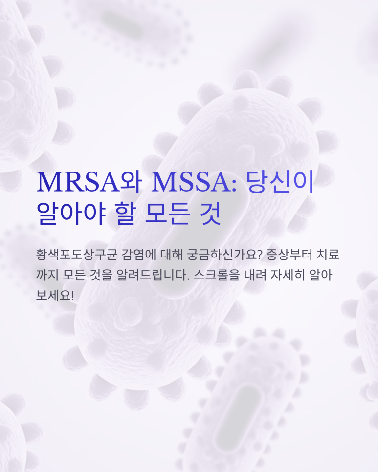 MRSA MSSA 차이 완벽 정리 : 증상부터 격리, 치료, 결과 해석, 주의사항까지! : 네이버 블로그