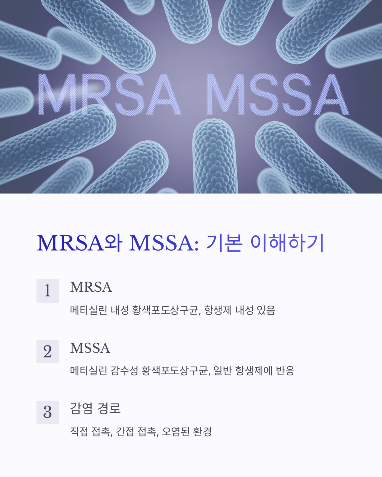 MRSA MSSA 차이 완벽 정리 : 증상부터 격리, 치료, 결과 해석, 주의사항까지! : 네이버 블로그
