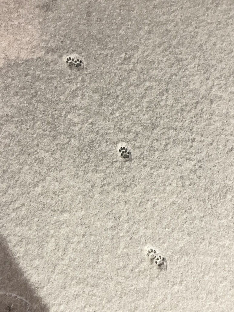 Frank vs. God ( 2014 ) 영화 중 : 네이버 블로그