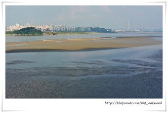 윤효 시인 / 역사 스페셜 : 네이버 블로그