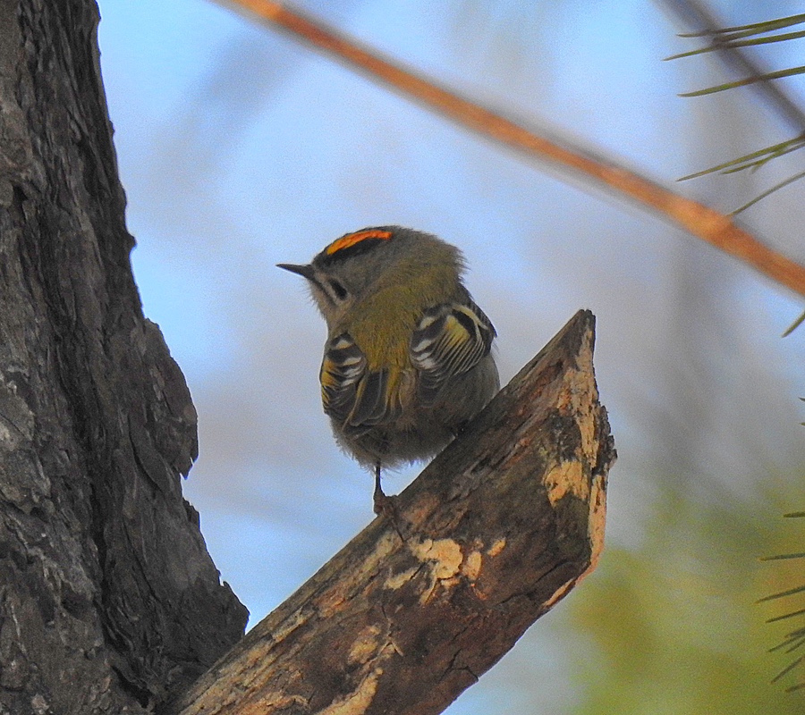 2023.12/26 in 호조벌 : 네이버 블로그