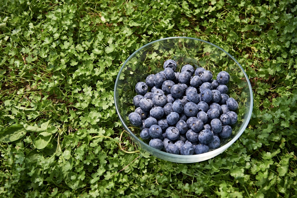 [외식뉴스]로컬푸드, 식문화 발전을 위한 첫걸음_ 요리사, 생산자, 소비자 모두가 노력해야 : 네이버 블로그