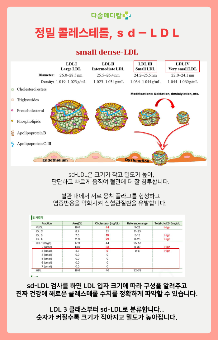 고지혈증 정밀검사 -sd-LDL, 리포프로테인, 아포지단백 : 네이버 블로그