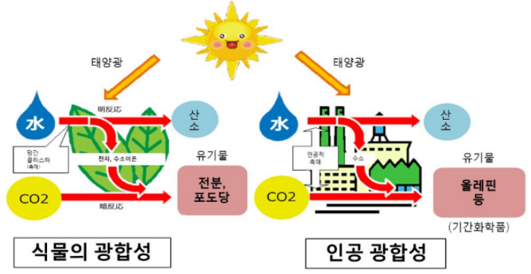 인공광합성 원리 소재 및 기술 응용분야 장점 및 한계 미래전망 네이버 블로그
