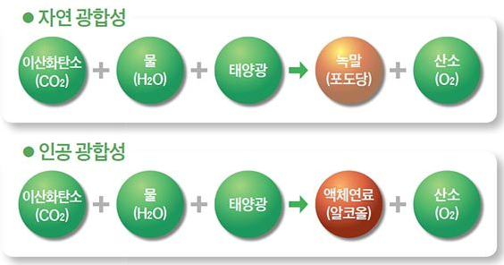 인공광합성 원리 소재 및 기술 응용분야 장점 및 한계 미래전망 네이버 블로그