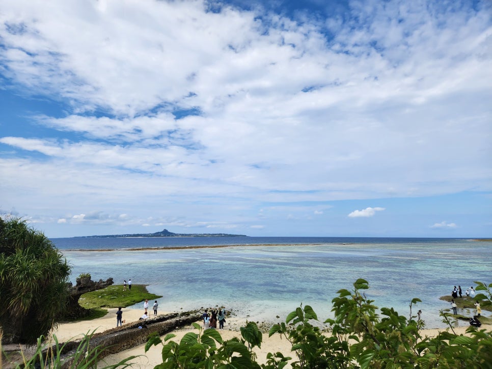일본 오키나와 북부 여행, 추라우미 수족관, 입장료, 돌고래쇼, 관람 후기 : 네이버 블로그