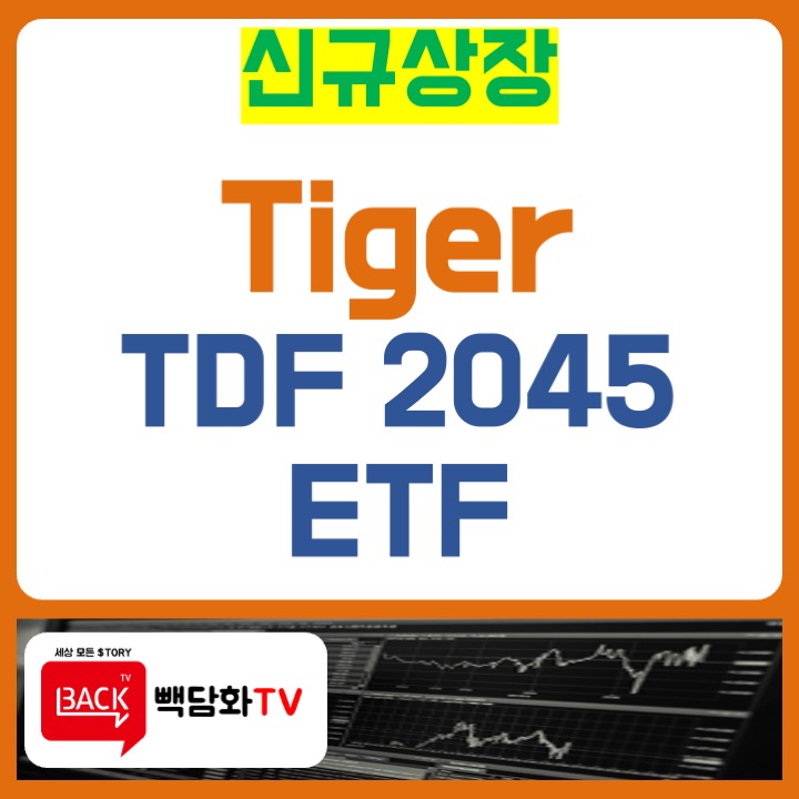 퇴직연금 IRP 계좌에서 주식비중 93%까지 늘리는 방법(ft. TIGER TDF2045 ETF) : 네이버 블로그