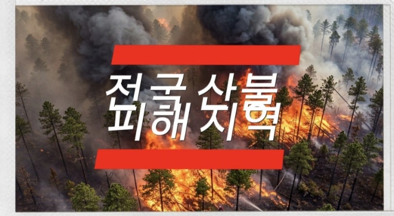 소중한 산림 잿더미로 전국 산불 피해 지역 And 예방 수칙 긴급 안내 And 재난지역 선포의성안동 울산 등 네이버 블로그