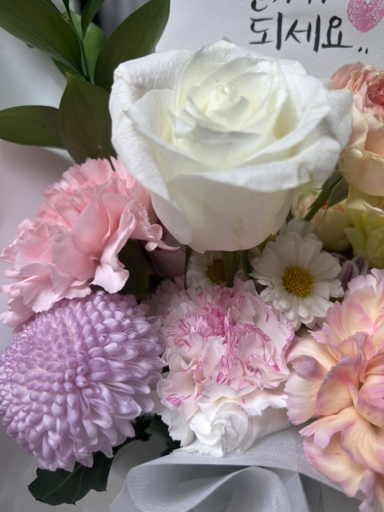 대전 둔산 꽃집 당일예약 당일배송 가능한 비올레뜨 : 네이버 블로그