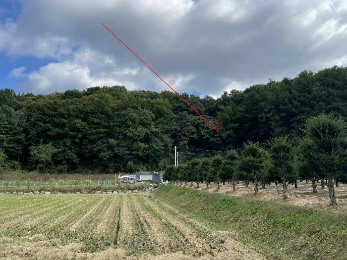 [경기용인토지(임야)경매] 용인시 처인구 양지면 평창리 경매 # 2024타경92595 # : 네이버 블로그