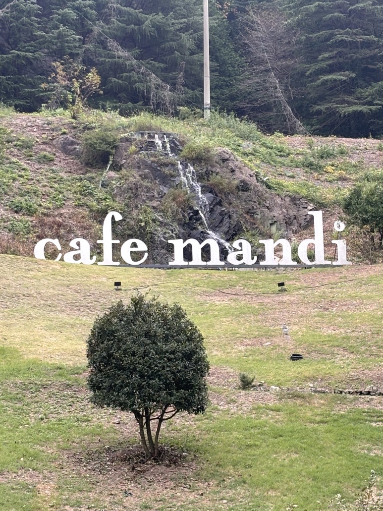 카페만디 cafe mandi | 부산 할로윈 대형카페 : 네이버 블로그