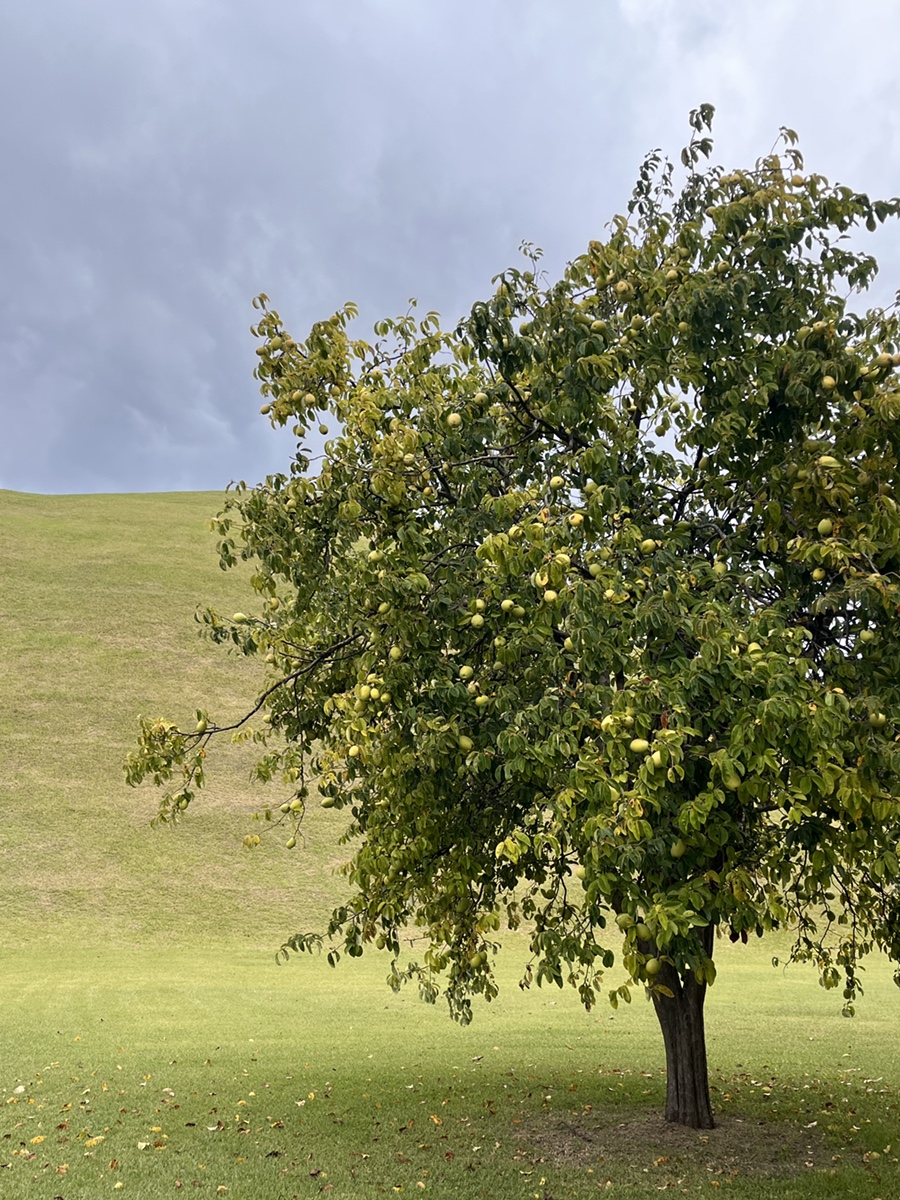 SEPTEMBER RECORD : 네이버 블로그
