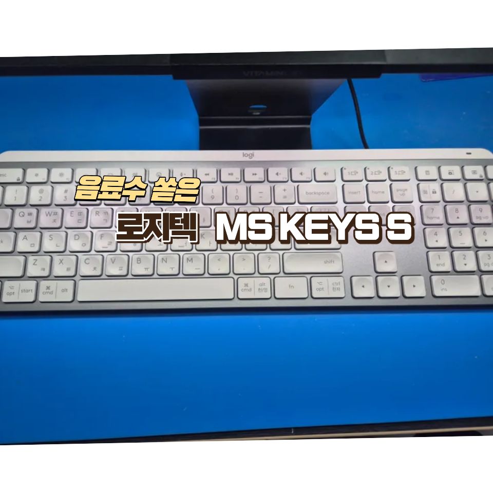 [헬프유]음료수 쏟은 로지텍 MS KEYS S : 네이버 블로그