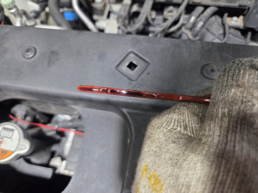 올뉴카니발 2.2D 성보산업 ZENQ EURO DUKSAN.DM S.O 5W30 P-1 엔진오일교환 : 네이버 블로그