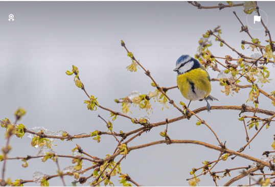 개나리반 서른 번째 시간**다시 시작된 시장! KRX vs NXT, 내 주식은 어디서 거래할까요? : 네이버 블로그