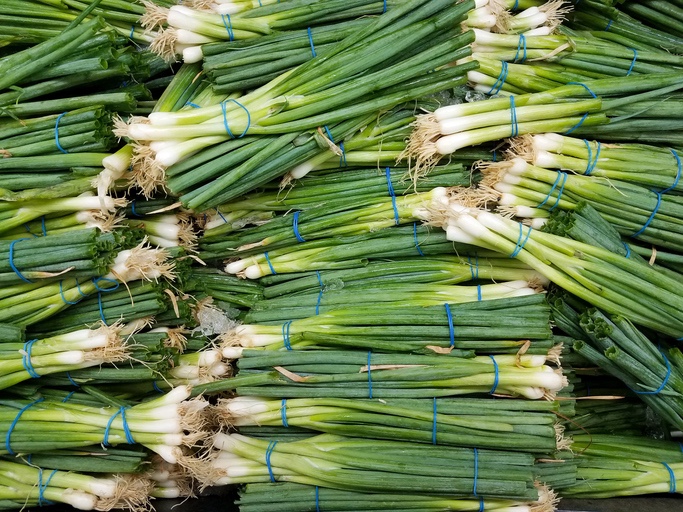 대파와 궁합이 좋고 잘 어울리는 음식 9가지는? : 네이버 블로그