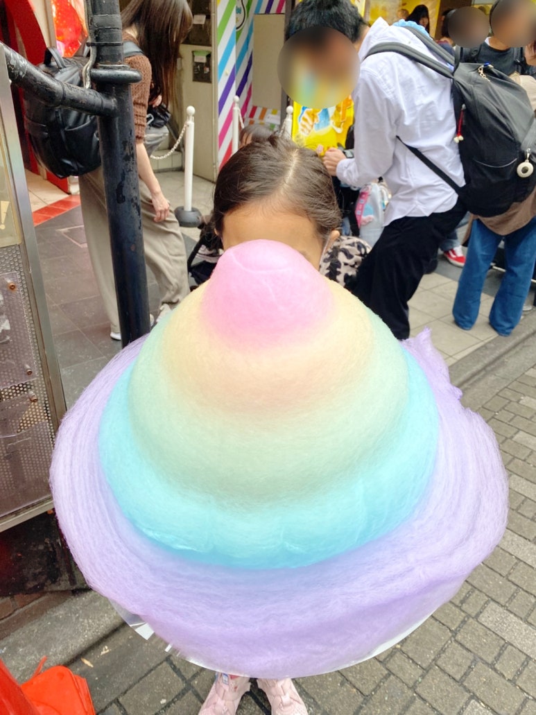 아이랑 도쿄여행#4 미피그 하라주쿠 완전비추 미니피그카페방문 토티캔디팩토리 솜사탕 해리포터스토어 : 네이버 블로그