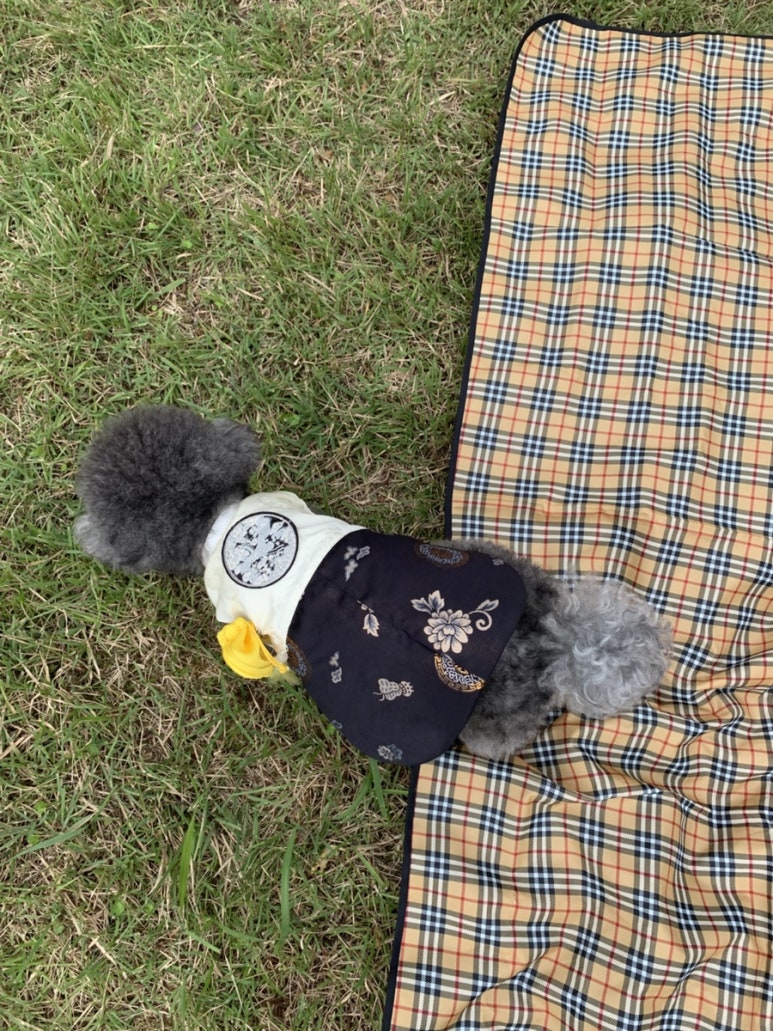 그렇게 재잘대는 가을이 오고~🦜🍂🍁 : 네이버 블로그