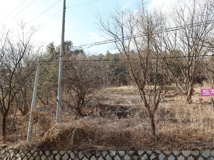 동두천시 탑동동 토지경매 1억대 매물 유망지역 : 네이버 블로그