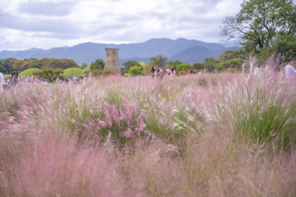 10월 경주 가볼만한곳 보문단지 경주 APEC 1박2일 여행 : 네이버 블로그