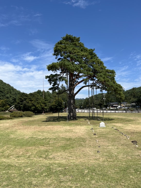벼슬 받은 「정이송품」 구경 ! : 네이버 블로그