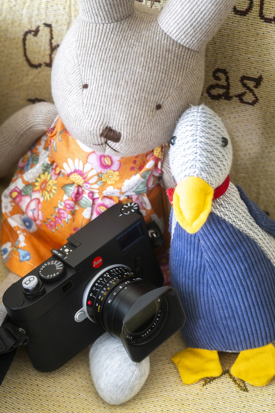 라이카 M EV1 소문의 카메라 출시 (Leica M11 에서 진화 혹은 다른 버전?) : 네이버 블로그