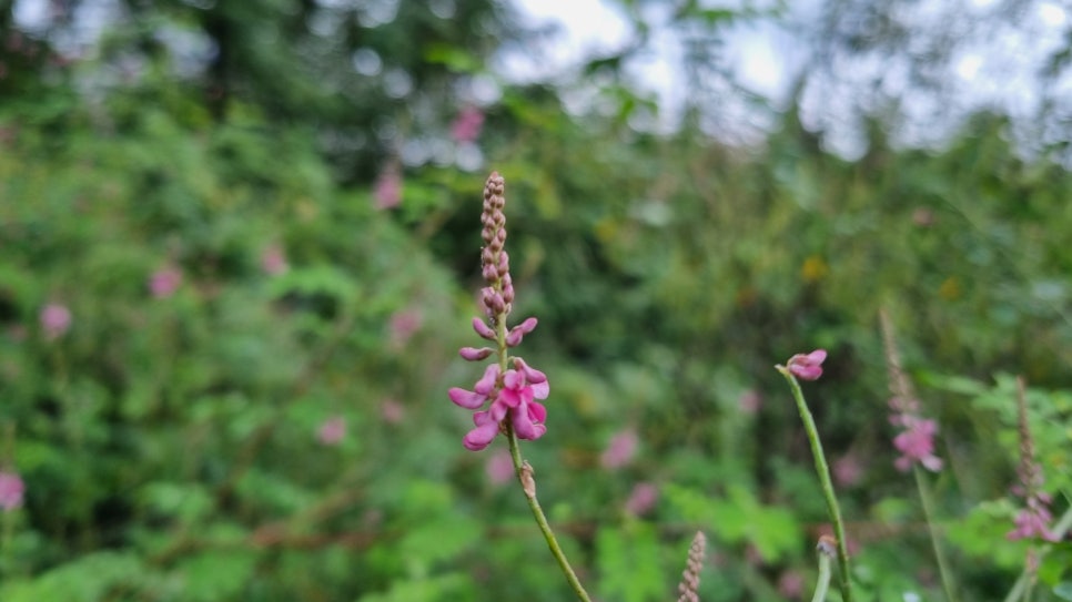 의미 있는 11월을 만들겠습니다 : 네이버 블로그