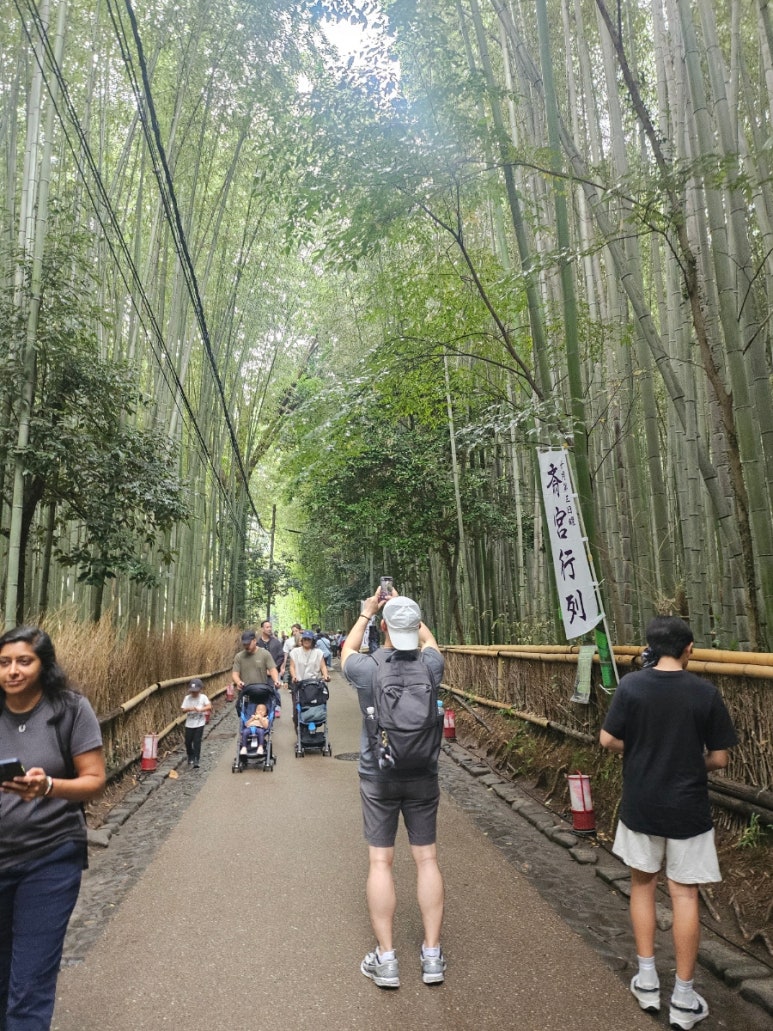 아라시아마,쿠모노차 말차라떼 맛있음 : 네이버 블로그