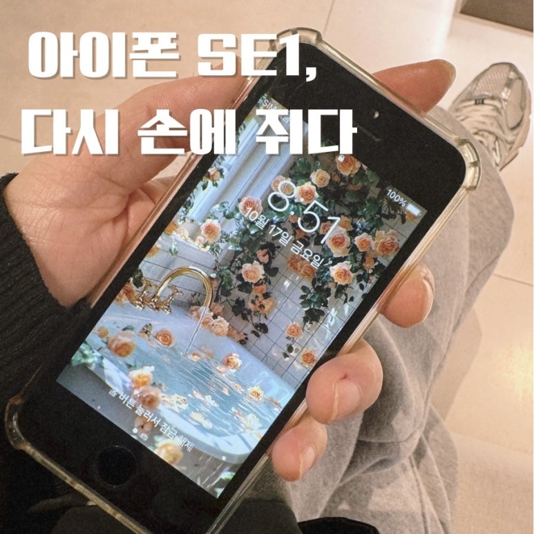 아이폰 SE1 일본 직구 후기｜메루카리,Buyee로 성공한 SE병 완치기 : 네이버 블로그