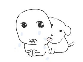 2025 SBMF(세종보헤미안...) 후기♨️ : 네이버 블로그