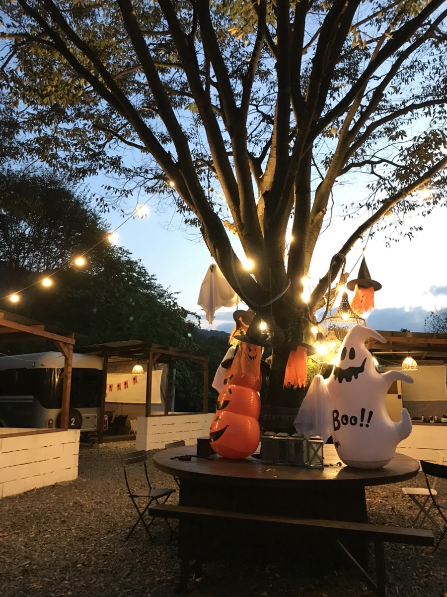 10월 4주 : 네이버 블로그