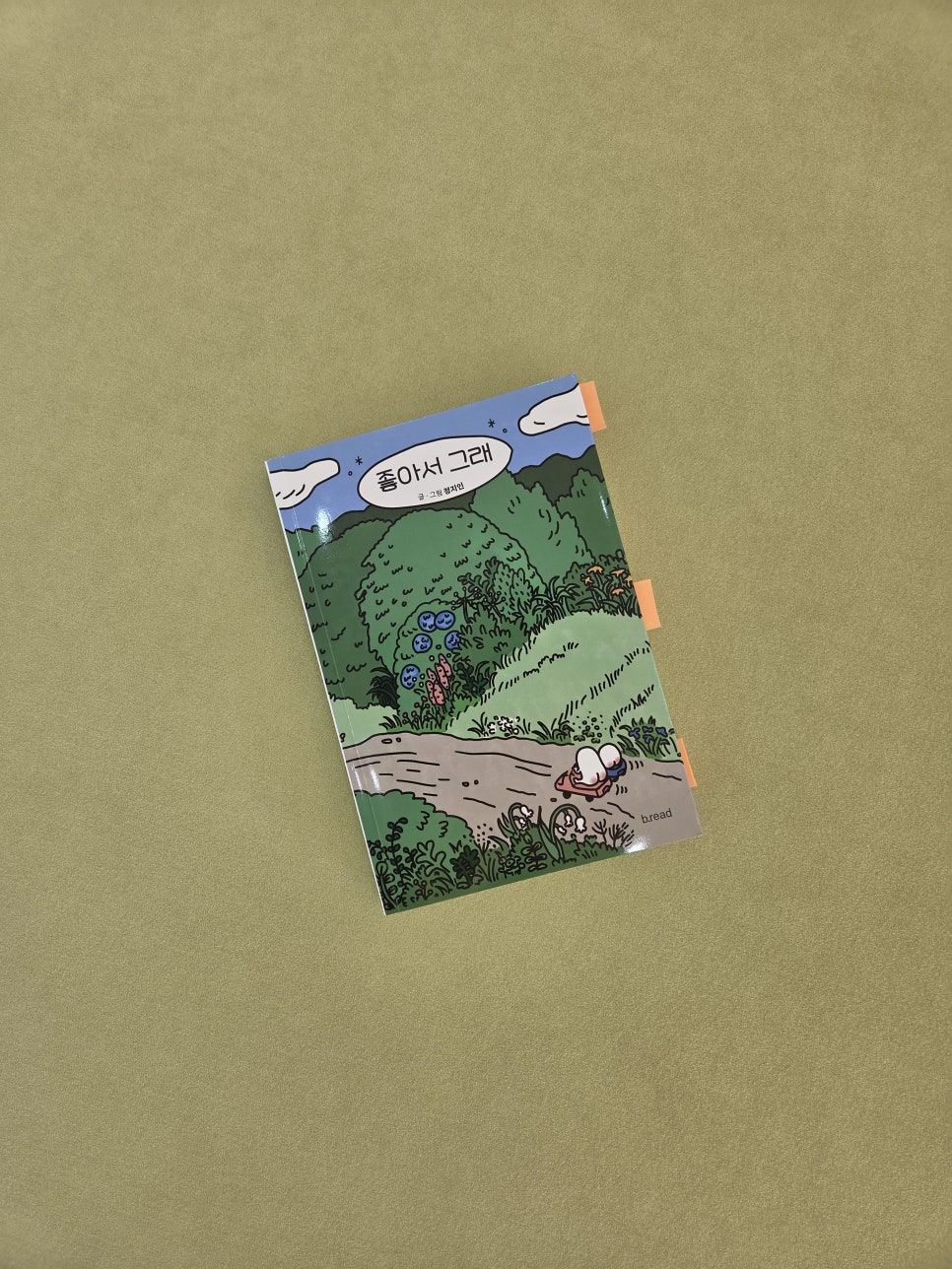《좋아서 그래 - 정지인》 또 다른 감성을 담은 어른용 동화책 : 네이버 블로그
