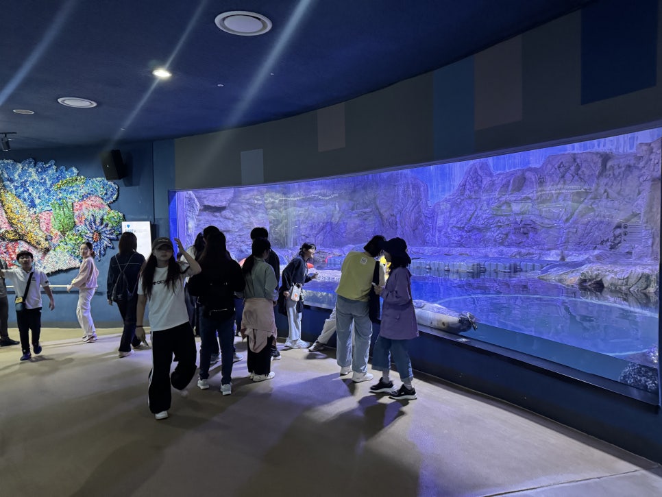 학교 단체 수학여행 준비한다면? 반곡초등학교 후기 & 리얼플랜제주 여행사 노하우 공개 : 네이버 블로그