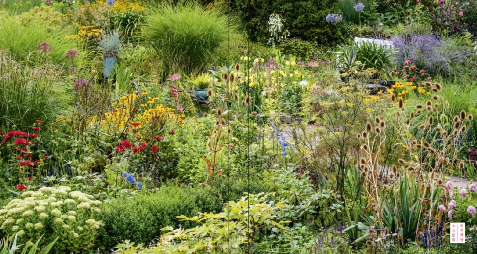 다시 시작되는 정원의 일곱계절 : 네이버 블로그