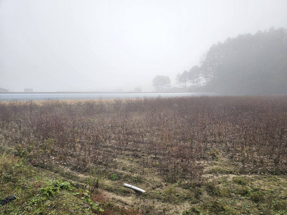 금산부동산/금산군토지/도곡리/3958번 : 네이버 블로그