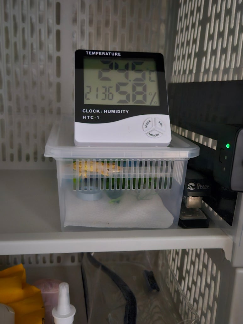 살아있는거 맞니? 251029 : 네이버 블로그