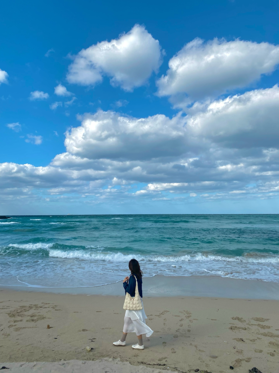 겨울 가방 추천 칼린 쿠시백 25FW 신상 숄더백 : 네이버 블로그