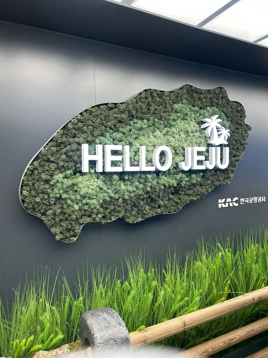 Hello Jeju 🏝️ : 네이버 블로그